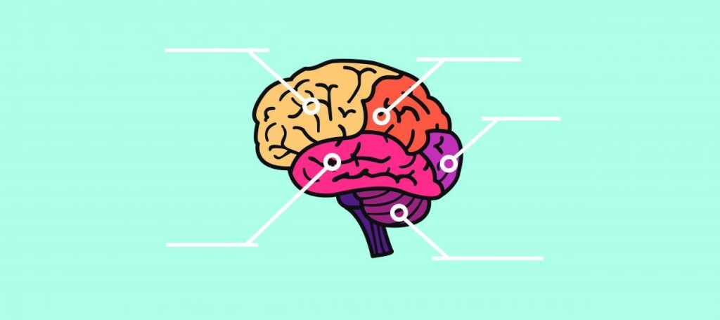 Mastering the Mechanics of Memory — Learning Discoveries